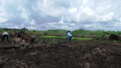 PENGOLAHAN TANAH PERTANIAN | Niagakita