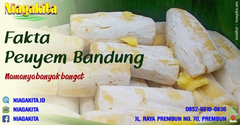 6 Fakta Peuyeum Bandung | Niagakita